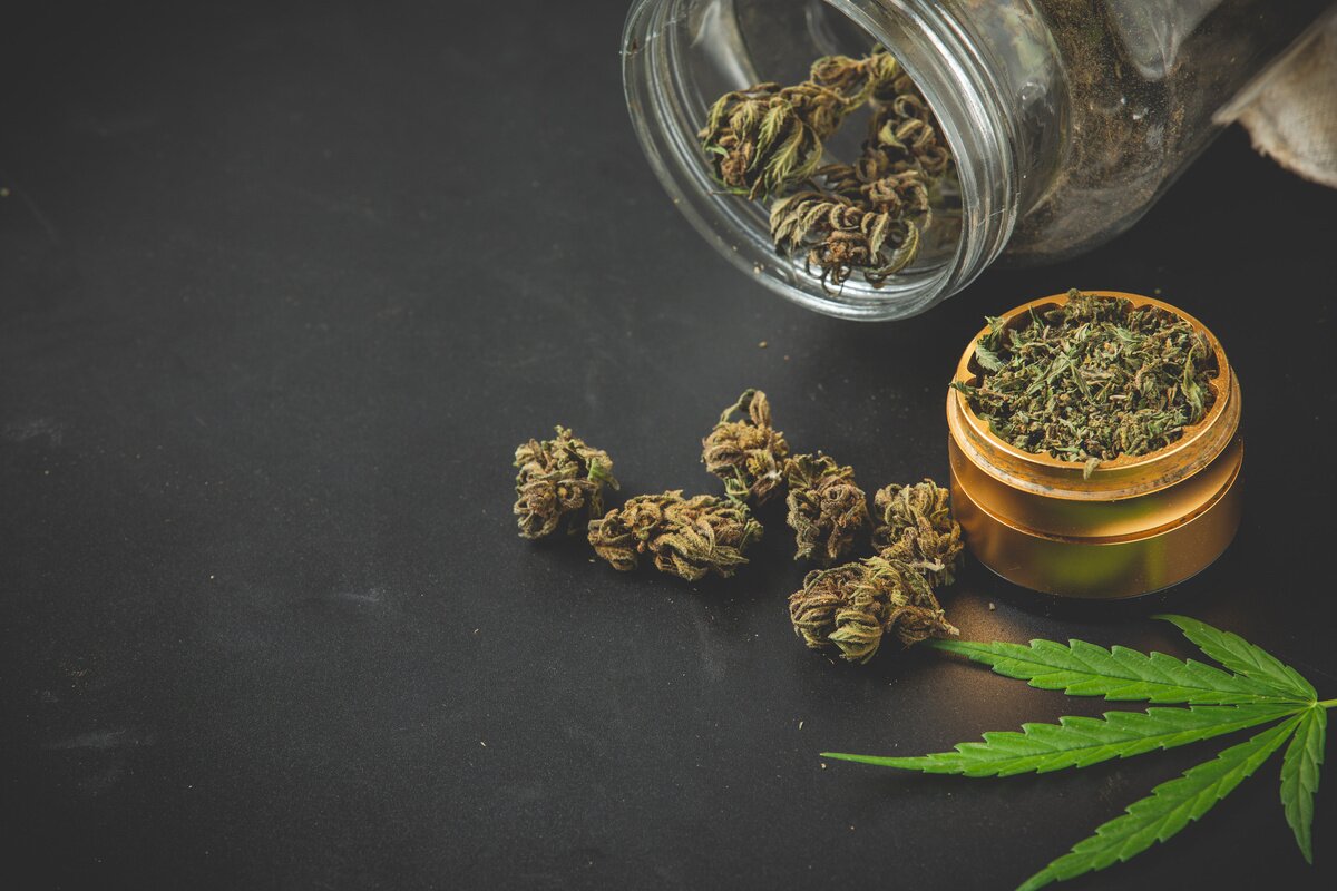 Does Weed Expire? Shelf Life, Storage Tips & Signs It’s Expired